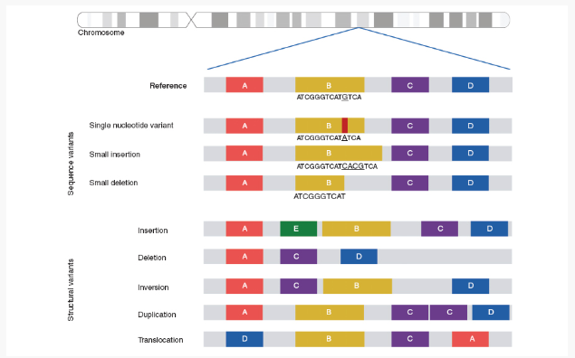 Pathogenic Variants in Rare Diseases | Diagnosis Challenges & Genetic Insights
